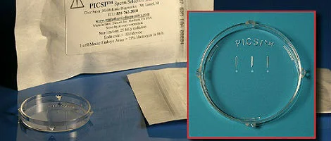 PICSI – Injecção Intracitoplasmática de Espermatozóides | inviTRA